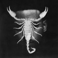 LA PLAYLIST | motiva